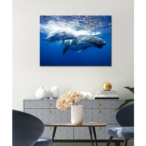 Картина - кит, синий кит, кит в океане, огромный кит, кит в воде (11) 60х80