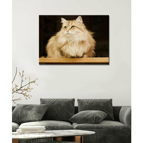 Картина - кошка, сибирская кошка, домашняя кошка, ласковая кошка, полудлинношёрстная кошка, кот (115) 50х70
