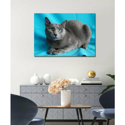 Картина - кошка, русская голубая кошка, домашняя кошка, ласковая кошка, короткошерстная кошка, кот (71) 30х40