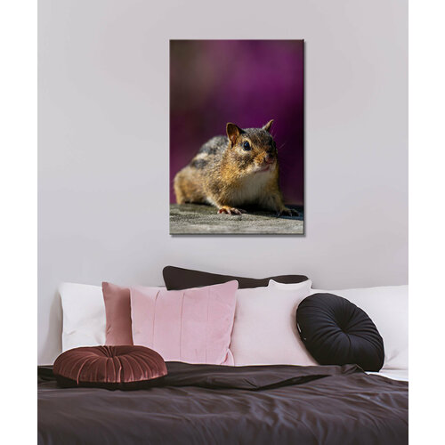 Картина - Бурундук, бурундучок, полосатый бурундук на фиолетовом фоне, красивый бурундук (56) 40х60