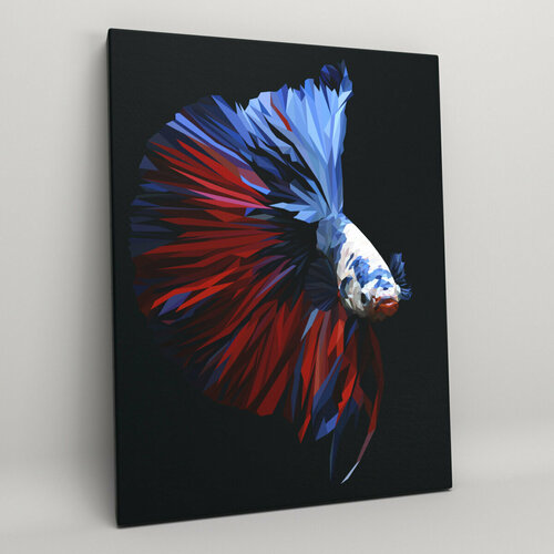 Картина на холсте (интерьерный постер) "Рыбка Петушок", с деревянным подрамником, размер 30x40 см
