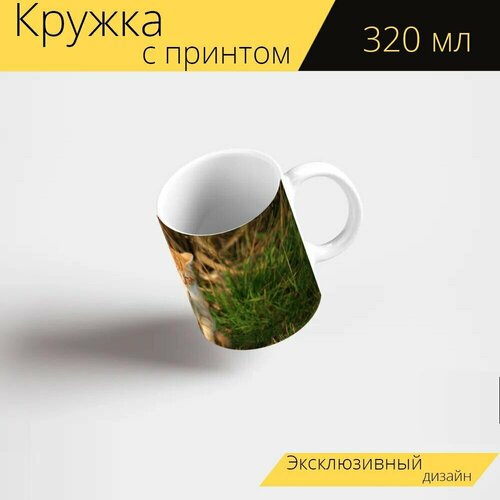 Кружка с рисунком, принтом "Кот, котенок, кошка ребенок" 320 мл.
