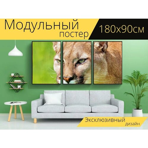 Модульный постер "Пума, животное, горный лев" 180 x 90 см. для интерьера