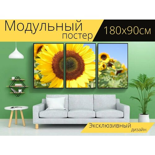 Модульный постер "Подсолнухи, желтый, подсолнух" 180 x 90 см. для интерьера