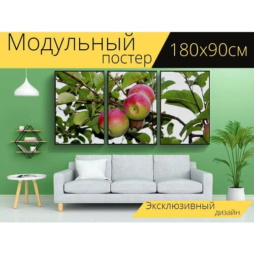Модульный постер "Фрукты, яблоки, грустно" 180 x 90 см. для интерьера