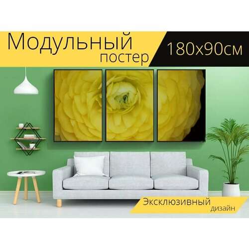 Модульный постер "Лютик цветок, яркий, желтый цветок лютик" 180 x 90 см. для интерьера
