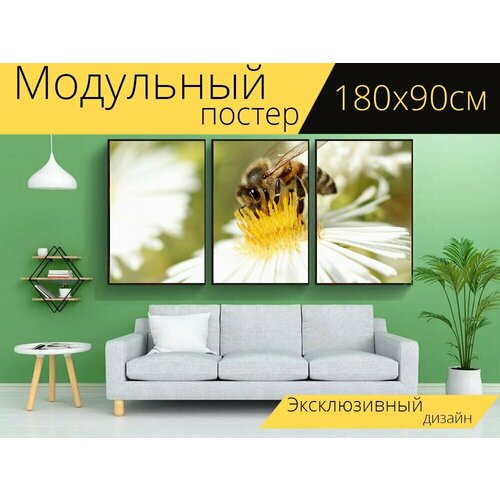 Модульный постер "Пчела, насекомое, перепончатокрылые" 180 x 90 см. для интерьера