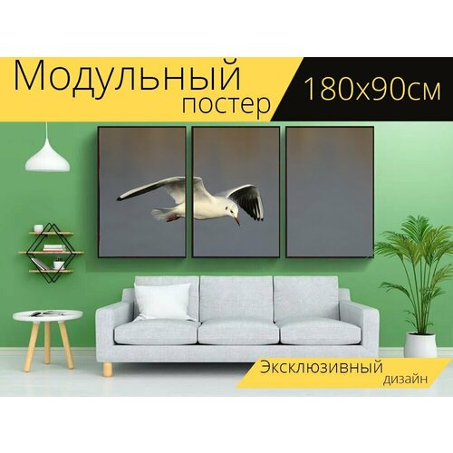 Модульный постер "Чайка, птица, летающий" 180 x 90 см. для интерьера