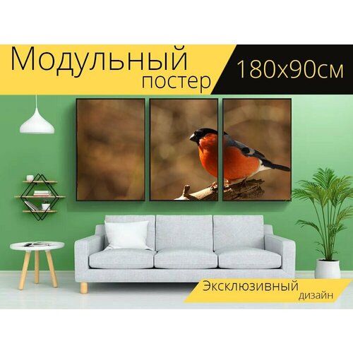 Модульный постер "Птица, гимпель, снегирь" 180 x 90 см. для интерьера