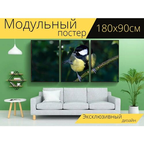 Модульный постер "Птица, большая синица, дикая природа" 180 x 90 см. для интерьера