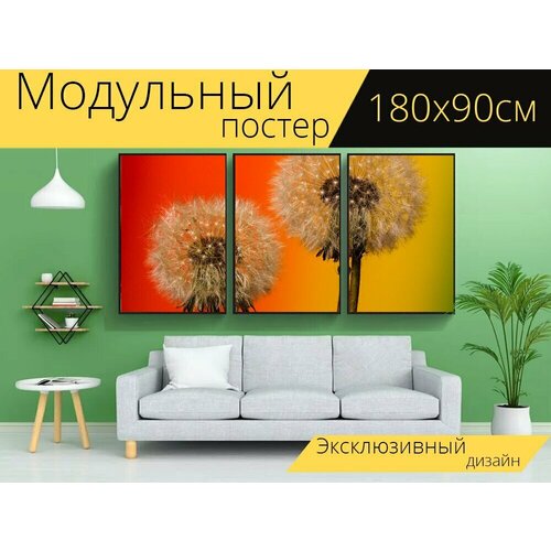 Модульный постер "Одуванчик, макрос, одуванчик обыкновенный" 180 x 90 см. для интерьера