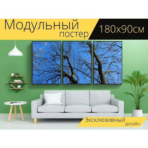 Модульный постер "Дерево, деревья, лысый" 180 x 90 см. для интерьера