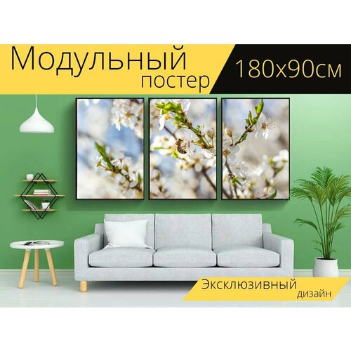 Модульный постер "Цветение сливы, цветы, пчела" 180 x 90 см. для интерьера