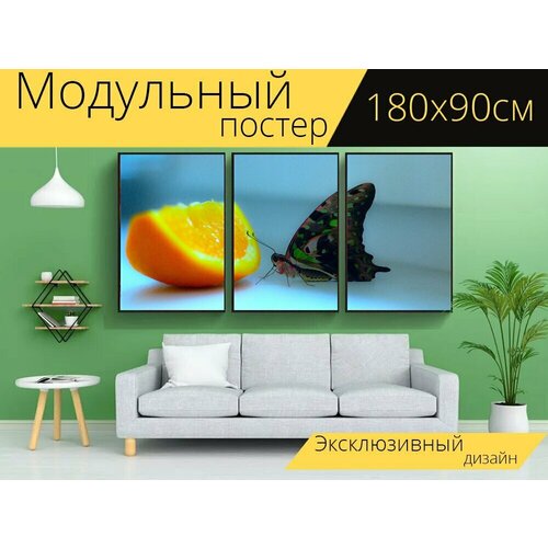 Модульный постер "Тропические бабочки, макро, бабочки" 180 x 90 см. для интерьера