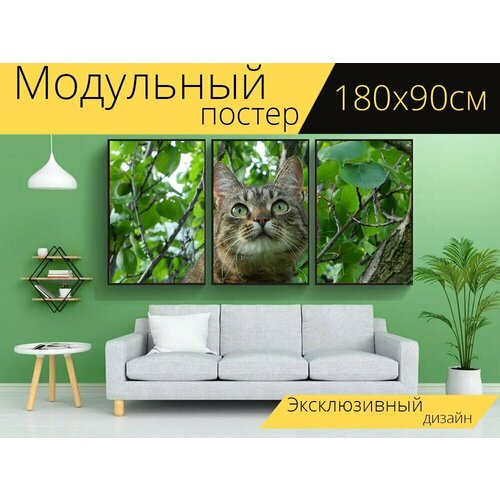 Модульный постер "Кошка, дерево, животное" 180 x 90 см. для интерьера