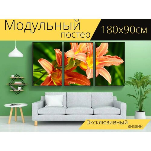 Модульный постер "Лилии, цветок, цвести" 180 x 90 см. для интерьера