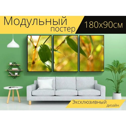 Модульный постер "Бамбук, зеленый, оздоровительный" 180 x 90 см. для интерьера