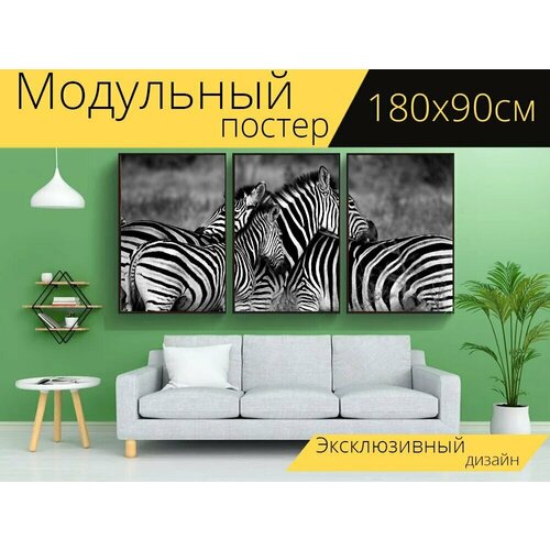 Модульный постер "Зебра, животные, сафари" 180 x 90 см. для интерьера