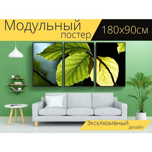 Модульный постер "Бук, листья, подсветка" 180 x 90 см. для интерьера