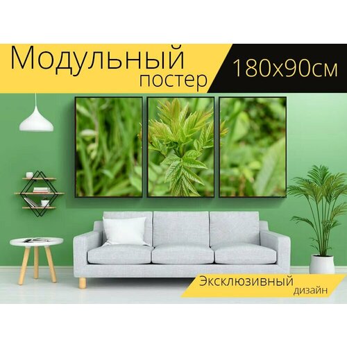 Модульный постер "Завод, зеленое растение, зеленые листья" 180 x 90 см. для интерьера