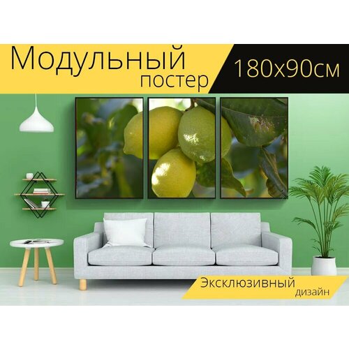 Модульный постер "Лимоны, фрукты, лимон" 180 x 90 см. для интерьера