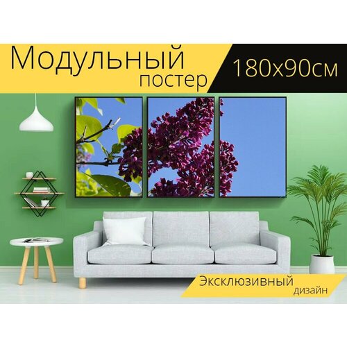 Модульный постер "Сирень, куст, куст сирени" 180 x 90 см. для интерьера