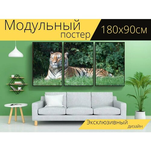 Модульный постер "Глубже, большой кот, кот" 180 x 90 см. для интерьера
