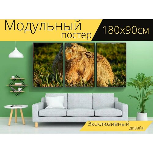 Модульный постер "Заяц, животное, млекопитающее" 180 x 90 см. для интерьера