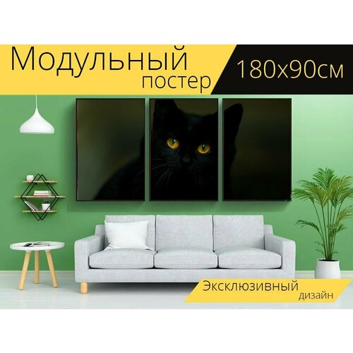 Модульный постер "Кошка, черный кот, животное" 180 x 90 см. для интерьера