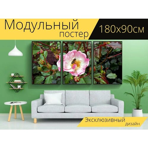 Модульный постер "Цветок, завод, шиповник" 180 x 90 см. для интерьера