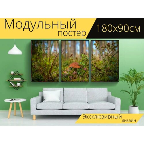 Модульный постер "Гриб, лес, осень" 180 x 90 см. для интерьера