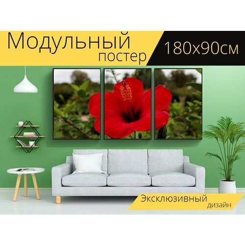 Модульный постер "Цветок, гибискус, лепестки" 180 x 90 см. для интерьера