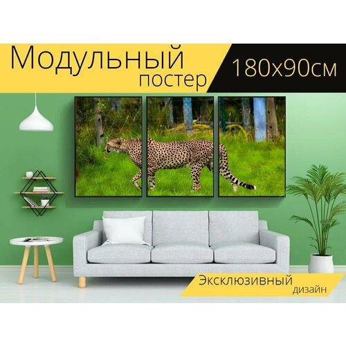 Модульный постер "Гепард, животное, зоопарк" 180 x 90 см. для интерьера