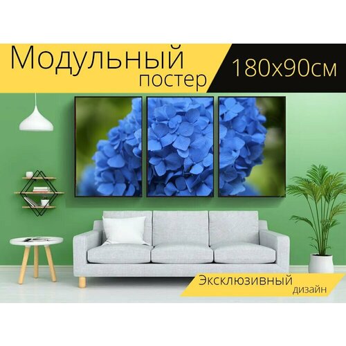 Модульный постер "Голубая гортензия, цветущий, цвести" 180 x 90 см. для интерьера