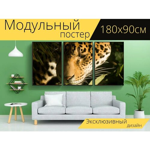 Модульный постер "Ягуар, кошка, кошачий" 180 x 90 см. для интерьера