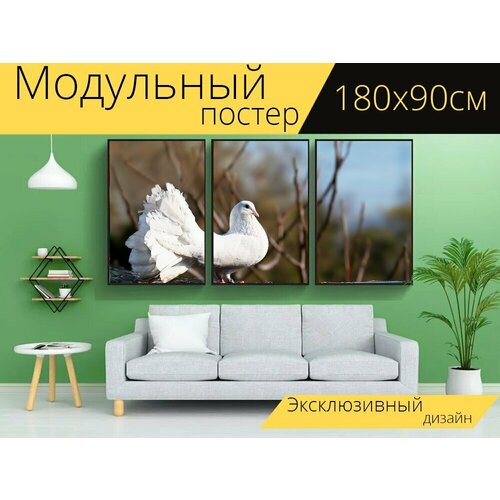 Модульный постер "Голубь, белый, птица" 180 x 90 см. для интерьера