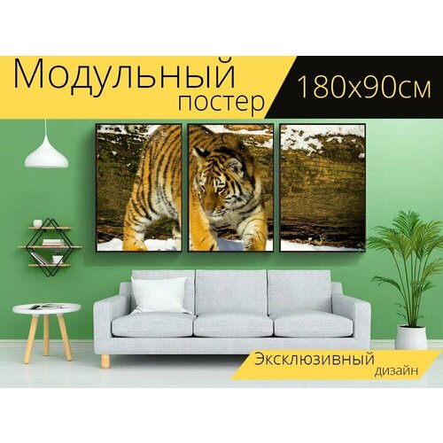Модульный постер "Тигр, тигренок, большой кот" 180 x 90 см. для интерьера