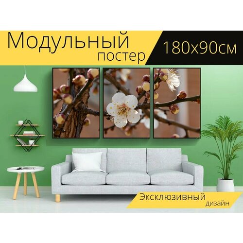 Модульный постер "Цветение сливы, цветы, весна" 180 x 90 см. для интерьера