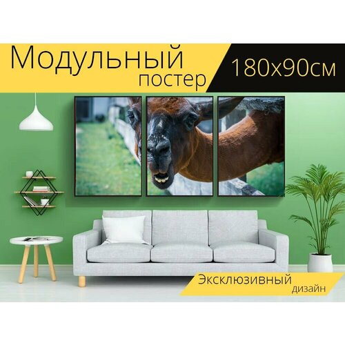 Модульный постер "Лама, животное, милый" 180 x 90 см. для интерьера