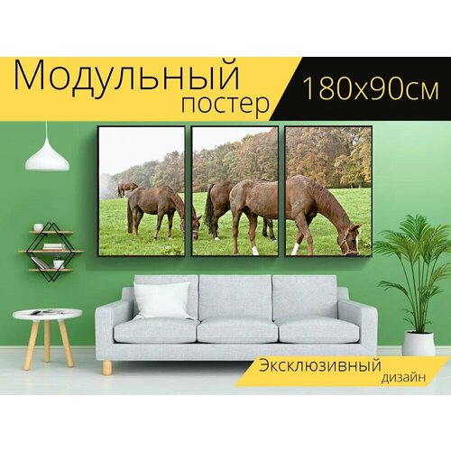 Модульный постер "Лошади, пастбище, коричневый" 180 x 90 см. для интерьера