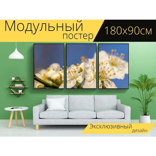 Модульный постер "Расцветает, вишня в цвету, весна" 180 x 90 см. для интерьера