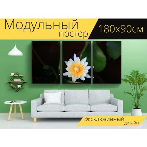 Модульный постер "Цветок, лотос, белый" 180 x 90 см. для интерьера
