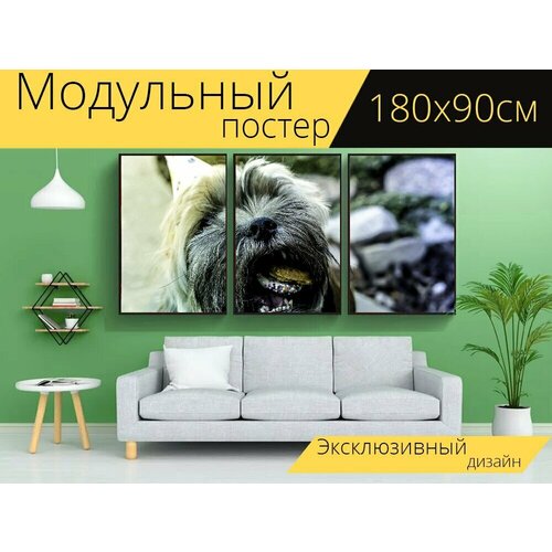Модульный постер "Поздравляю с днем рождения, собака, домашний питомец" 180 x 90 см. для интерьера