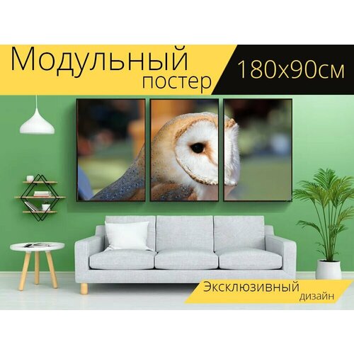 Модульный постер "Сова, хищник, птица" 180 x 90 см. для интерьера
