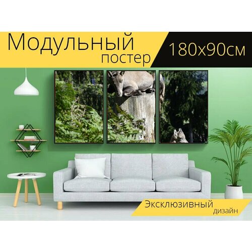 Модульный постер "Козерог, козерог младенец, лес" 180 x 90 см. для интерьера