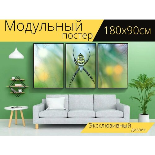 Модульный постер "Tygrzyk paskowany, девушки, арачнид" 180 x 90 см. для интерьера