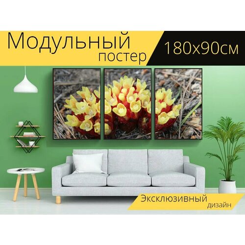 Модульный постер "Осень, лес, грибы" 180 x 90 см. для интерьера