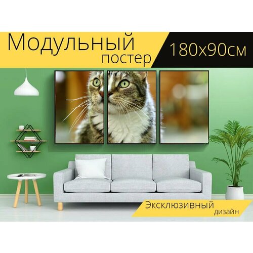 Модульный постер "Похмелье, кот, скумбрия" 180 x 90 см. для интерьера