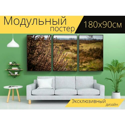 Модульный постер "Растения, трава, мох" 180 x 90 см. для интерьера