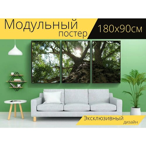 Модульный постер "Дерево, лаять, угол" 180 x 90 см. для интерьера